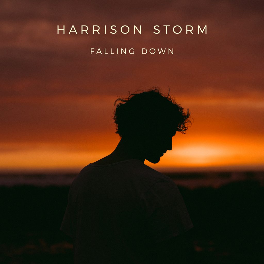 HARRISON STORM: la recensione di "Falling Down" (2019) » 𝐄𝐧𝐝 𝐨𝐟 𝐚 𝐂𝐞𝐧𝐭𝐮𝐫𝐲
